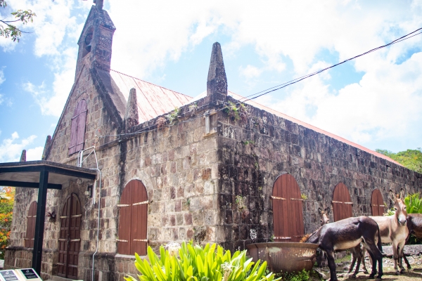 NEVIS: O QUE FAZER? COMO CHEGAR? - MystrasMystras